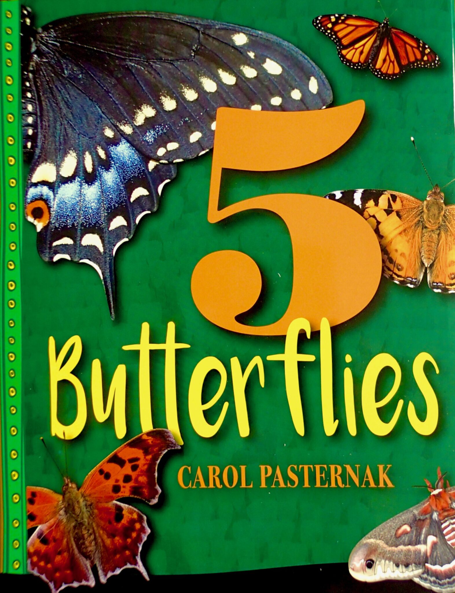 About Me – The Monarch Crusader